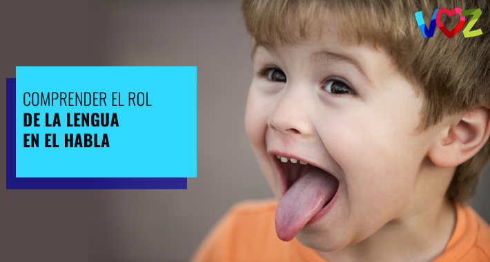 Comprender el rol de la lengua en el habla | El Instituto Voz ...